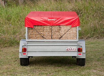 Gallery | Spider Tarp