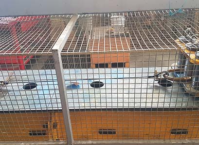 Gallery | Spider Tarp