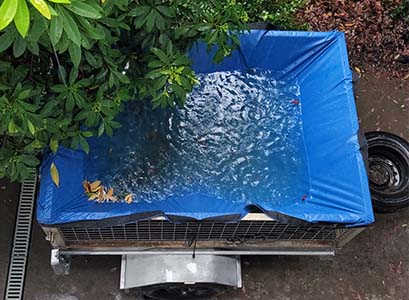 Gallery | Spider Tarp